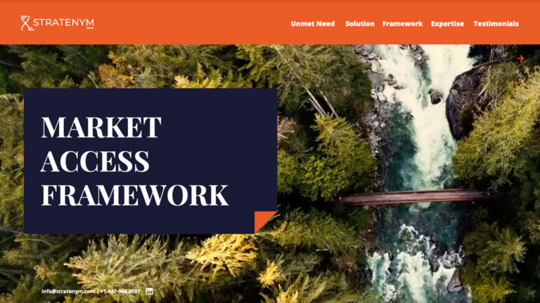 Market Access Framework - STRATENYM